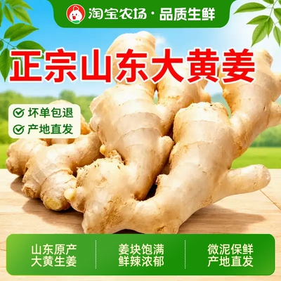 正宗山东大姜生姜老姜新鲜农家干姜姜块大黄姜农场带泥自提直发