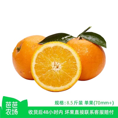 【芭芭农场】国产脐橙8.5斤单果70mm+