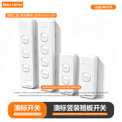 SAA认证澳标竖装翘板迷你小按钮澳大利亚通用一二三四位开关双控