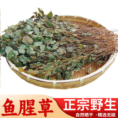 湖南深山野生鱼腥草干货无硫整颗晒折耳根鱼腥草干泡茶水500g包邮
