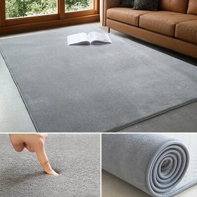 Grey Rugs Living Room Carpet Nonslip Bedside Coral Velet Rug