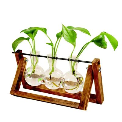 Terrarium Creative Hydroponic Plant Transparent Vase Wooden