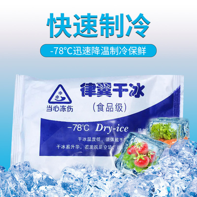 干冰袋装0生鲜配送冷链运输降温