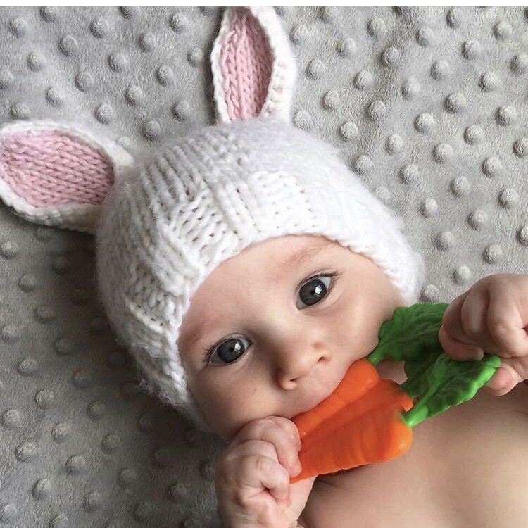 美国 Little Toader 小托德 婴儿童食物造型硅胶磨牙棒宝宝牙胶