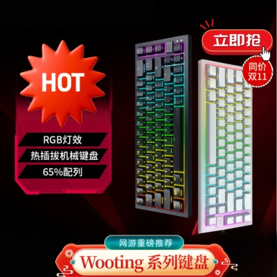Wooting 60HE+80HE 冠军键盘RGB67键客制化热插拔有线机械键盘