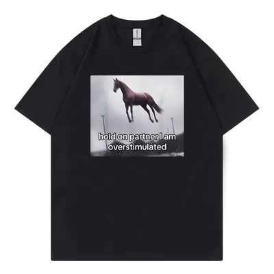Hold on Partner I Am Overstimulated Horse  飞天马外网搞怪T恤