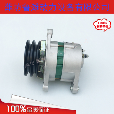 潍坊4105/6105柴油机小发电机 水泥罐发电机组用JF2314发电机28V