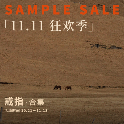 【双十一狂欢季】戒指合集1 SAMPLE SALE