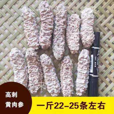 北海淡干黄玉刺参黄肉参海参水产干货煲汤食材