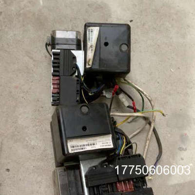 GAS利雅路控制器RMG88.62C2，冬斯气风压力开关LG