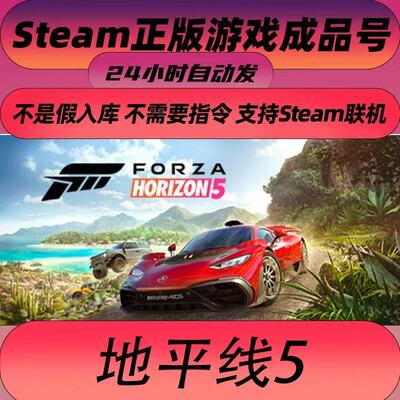 地平线5PC正版成品号可联机