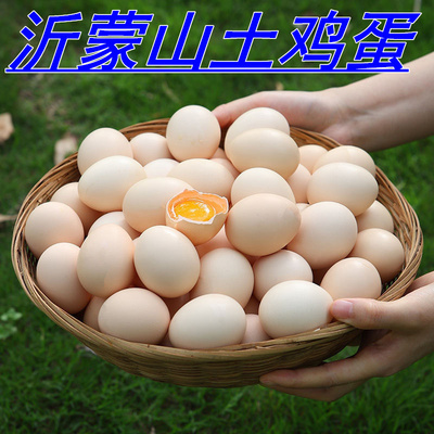 蒙山草鸡蛋农家散养土鸡蛋整箱
