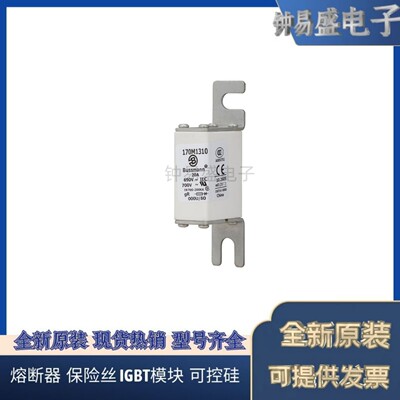 美国伊顿EATON  Bussmann熔断器170M1310  690V  20A