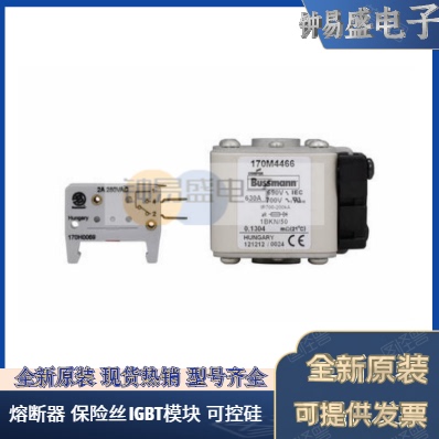 出售Bussmann熔断器170M4460 4461 4462 4463 4464 4465 4466