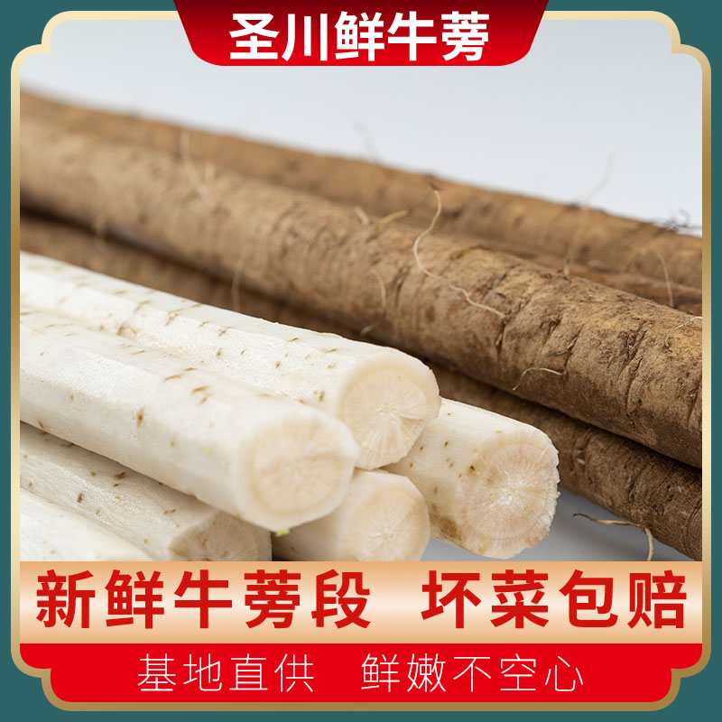 鲜牛蒡段基地直发食用农产品2500g