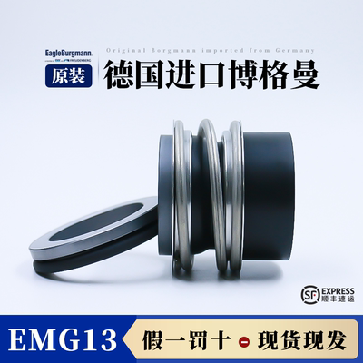 德国博格曼机械密封碳化硅