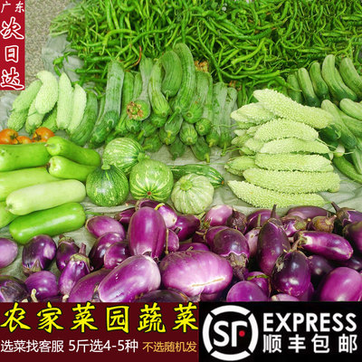 当季自种小菜农家蔬菜组合自选