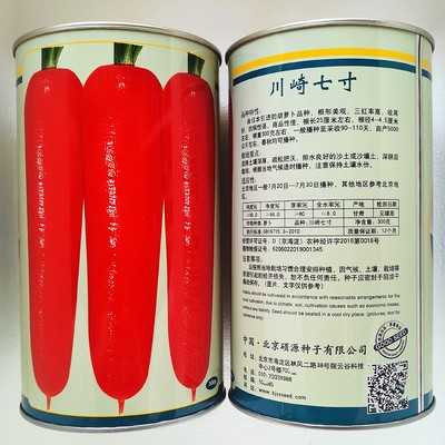 三红七寸胡萝卜种籽抗病耐寒商品性好大田基地春秋季播胡萝卜种子