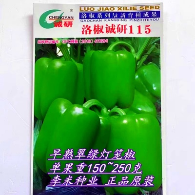 洛椒诚研115甜椒种籽早熟翠绿灯笼椒菜椒种子大田基地春秋季播种