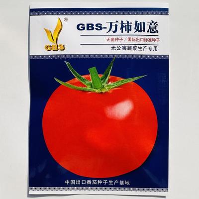 万柿如意大红番茄种籽西红柿种子大果高圆早熟抗病无菌种孑春秋播