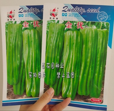 百花园种业金优薄皮辣椒