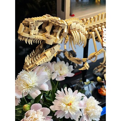 New MOC Dinosaur Fossil Skeleton Model Home Decoration Build