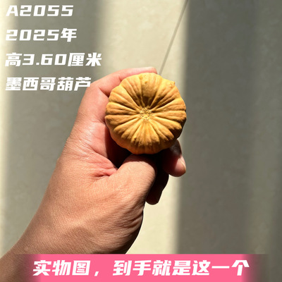 A2055高3.6厘米2025年精品手捻墨西哥七彩疙瘩葫芦