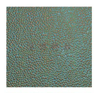 皮革 鹅卵石 纹理精雕图 雨点 灰度图 岩石底纹雕刻图JDP