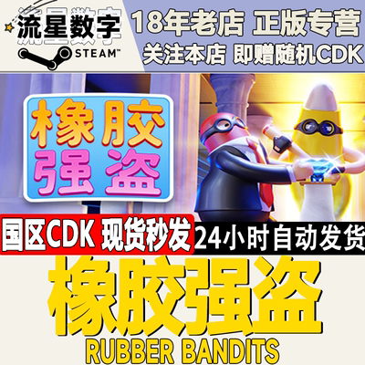 Steam正版橡胶强盗国区KEY
