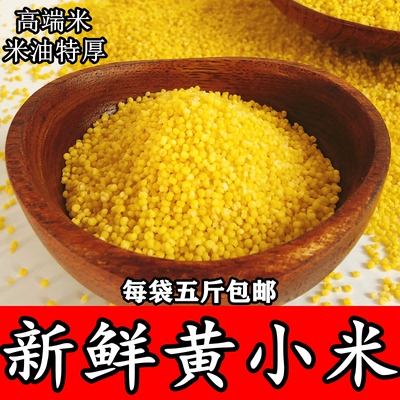 藁城马庄黄金苗新鲜小黄米新米5斤宝宝米农家食用黄小米坐月子米