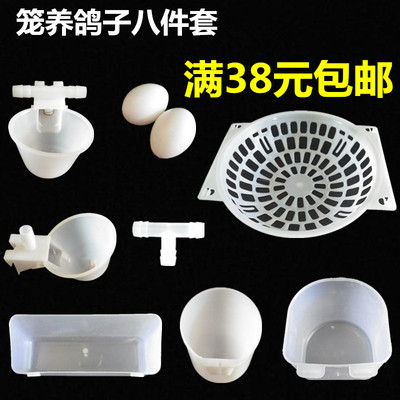 鸽子用品用具肉鸽食盒自动饮水器