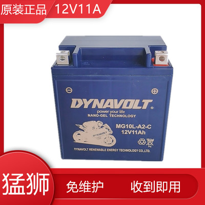 猛狮摩托车电瓶12V10L-A2望江GN250雅马哈XV250力帆V16电池12V11A