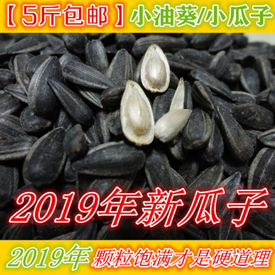 黑珍珠鸟食小金太阳和尚500G