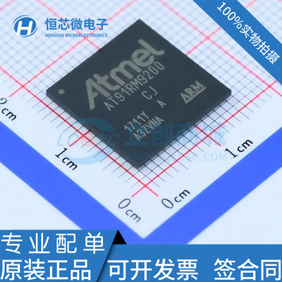 全新原装 AT91SAM9263B-CU-100 TFBGA-324 控制器微处理器芯片
