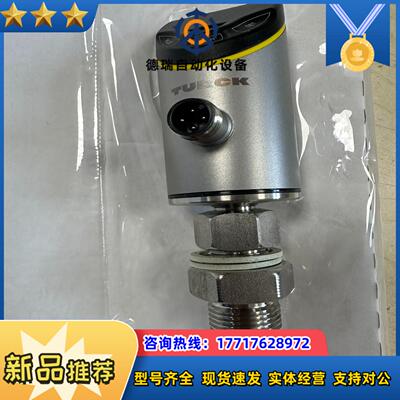 德国图尔克FS100-300L-30-2LI-H1141 流议价