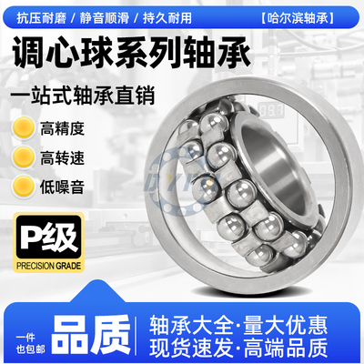 哈尔滨调心球轴承丹洋