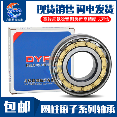 丹洋进口圆柱滚子轴承丹洋