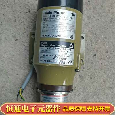 齿轮磁力泵，MDG-R2RVB100U-46 H