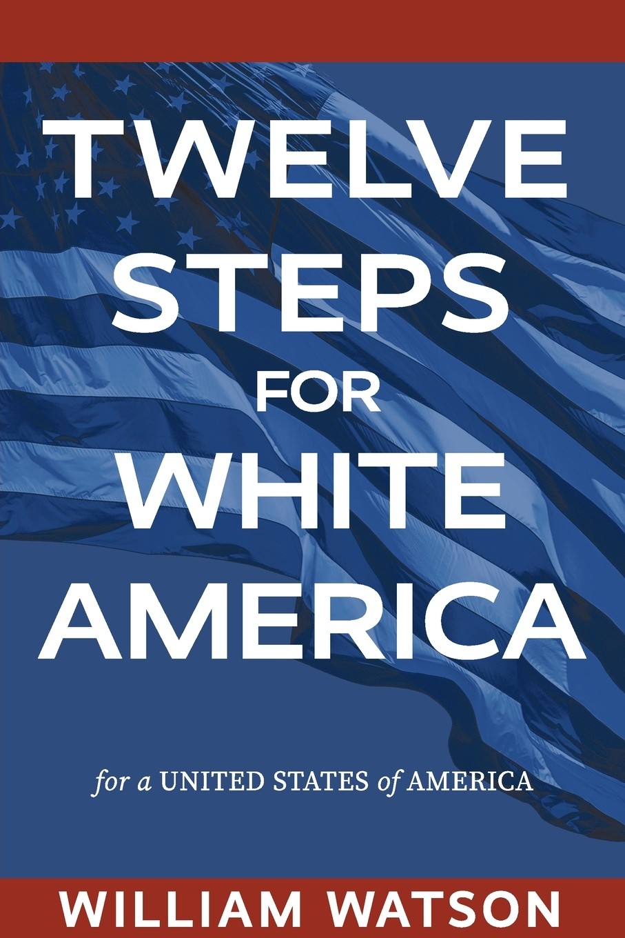 预售按需印刷 Twelve Steps for White America_虎窝淘