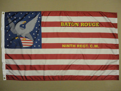 外贸货源9th CT Infantry Regiment Historical FLAG WISH EBAY