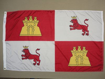 外贸Lions and Castles Royal Standard FLAG亚马逊 WISH EBAY