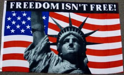 自由不是自由FREEDOM ISN'T FREE AMERICAN FLAG亚马逊WISH EBAY