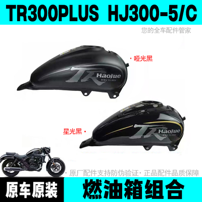 TR300plus燃油箱组合油量传感器