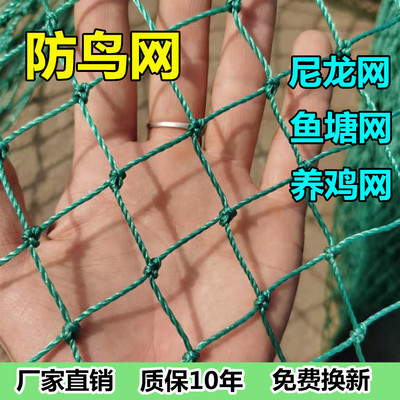 果园防鸟网尼龙网大棚网养鸡天网樱桃网爬藤网