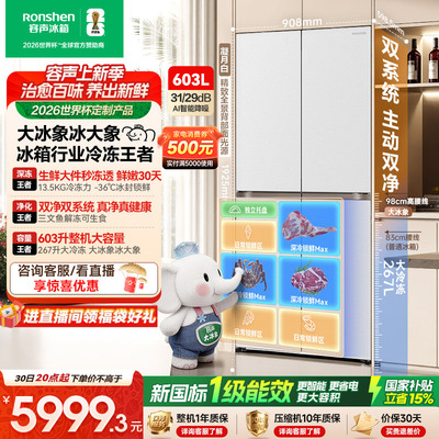 容声大冰象603冰箱行业冷冻王者