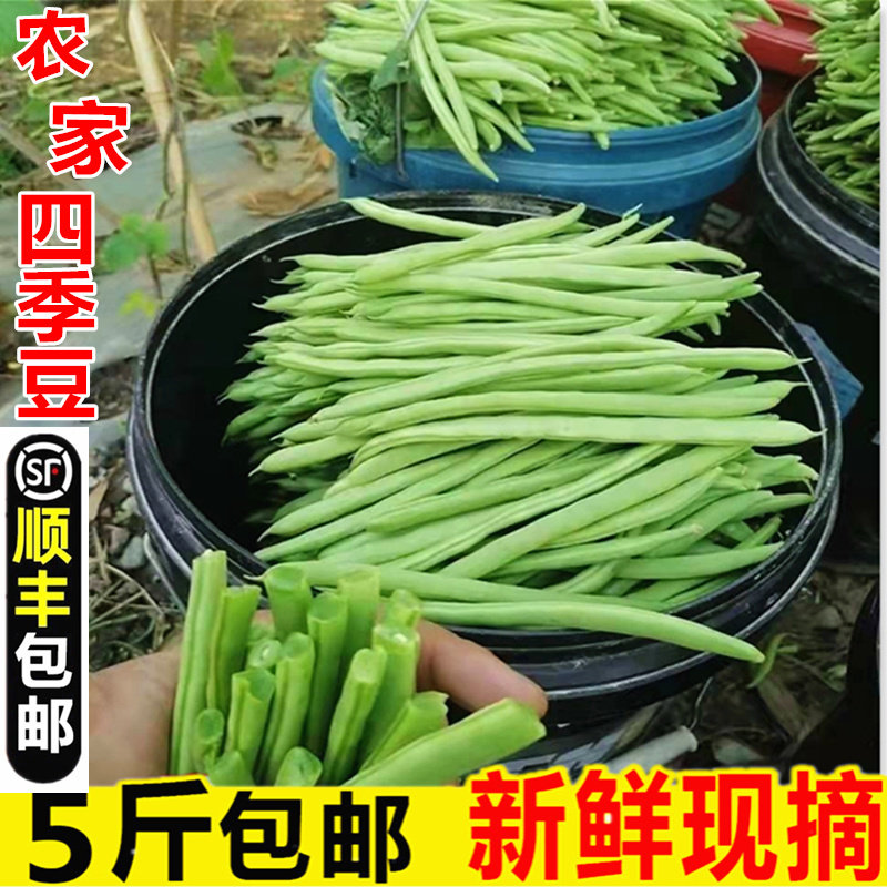 【顺丰】包邮新鲜露天 四季豆芸豆豇豆豆角长扁豆脚刀豆青当季5斤