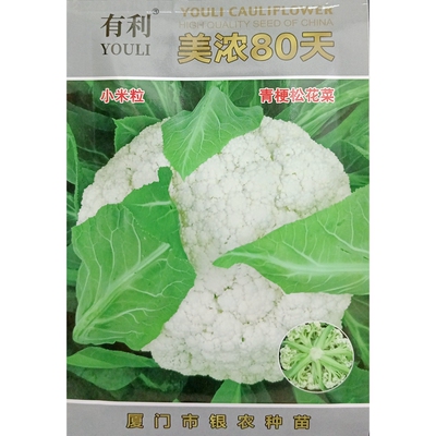 美浓80天松花菜种子青梗花椰菜