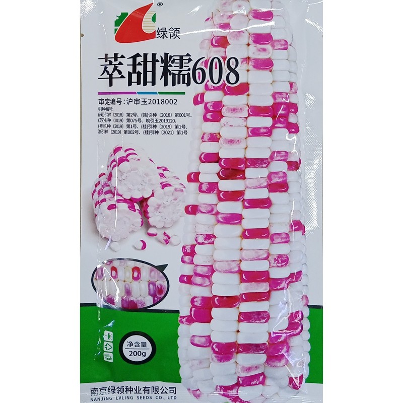绿领萃甜糯608玉米种子花糯鲜食加甜加糯1:3苞谷米棒子200克800粒