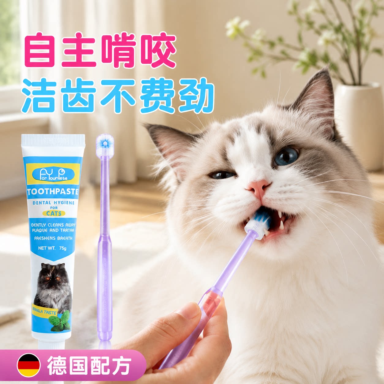 猫咪牙刷专用幼猫牙膏工具套装猫除口臭小猫牙齿清洁神器宠物用品