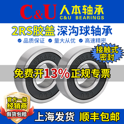 人本6204轴承6203高速6206正品6205型号6201大全6202 6309 6308RS